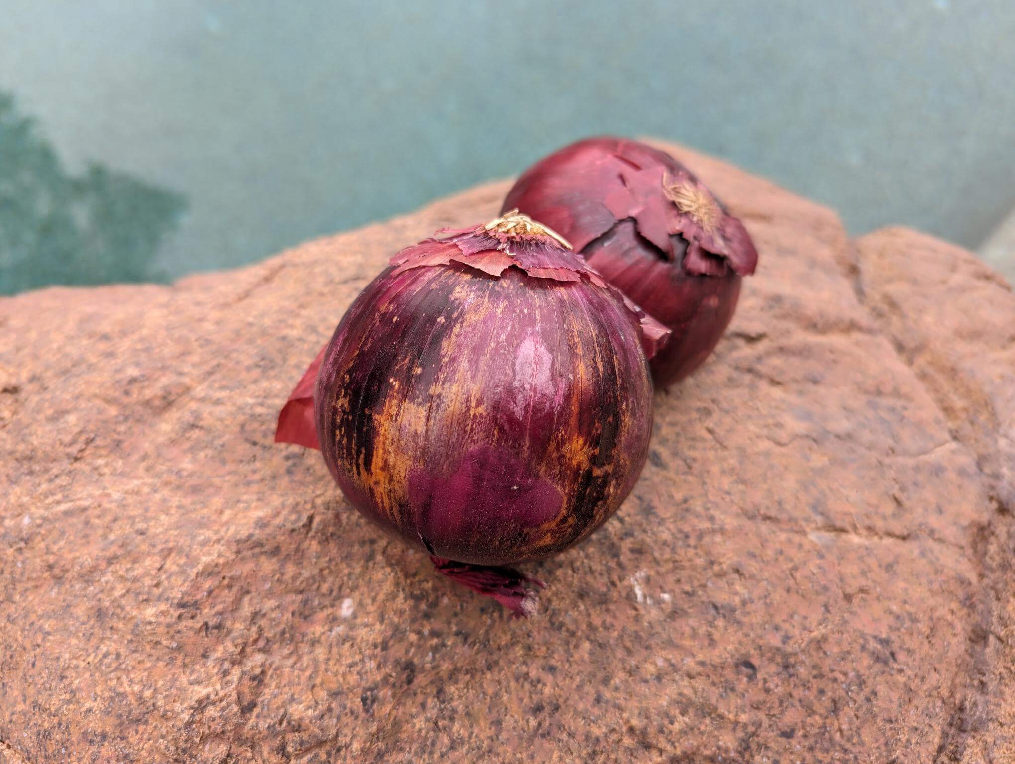 How to Understand Your Dream With Or About Onions - The Dream Recovery ...